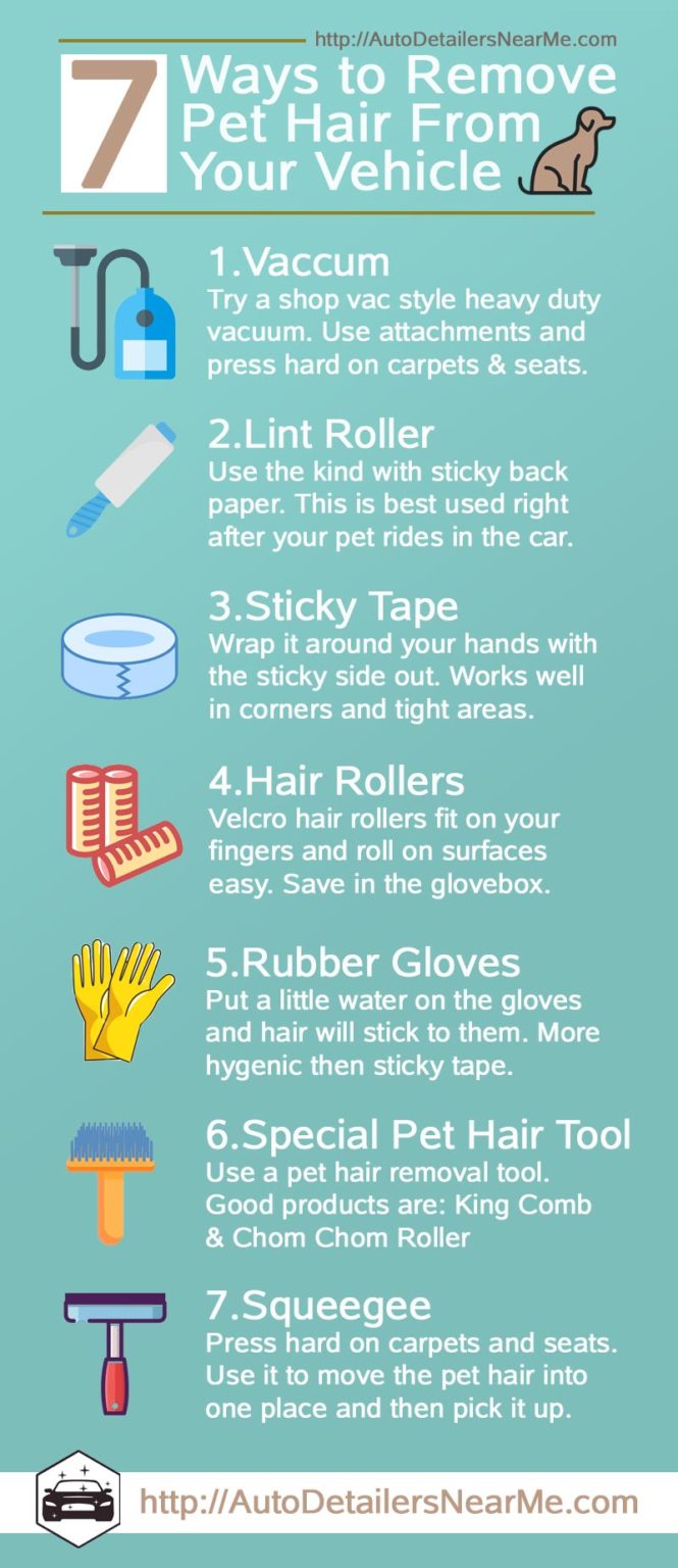 7 DIY Ways to Remove Pet Hair From a Car [Quick Fix Guide]